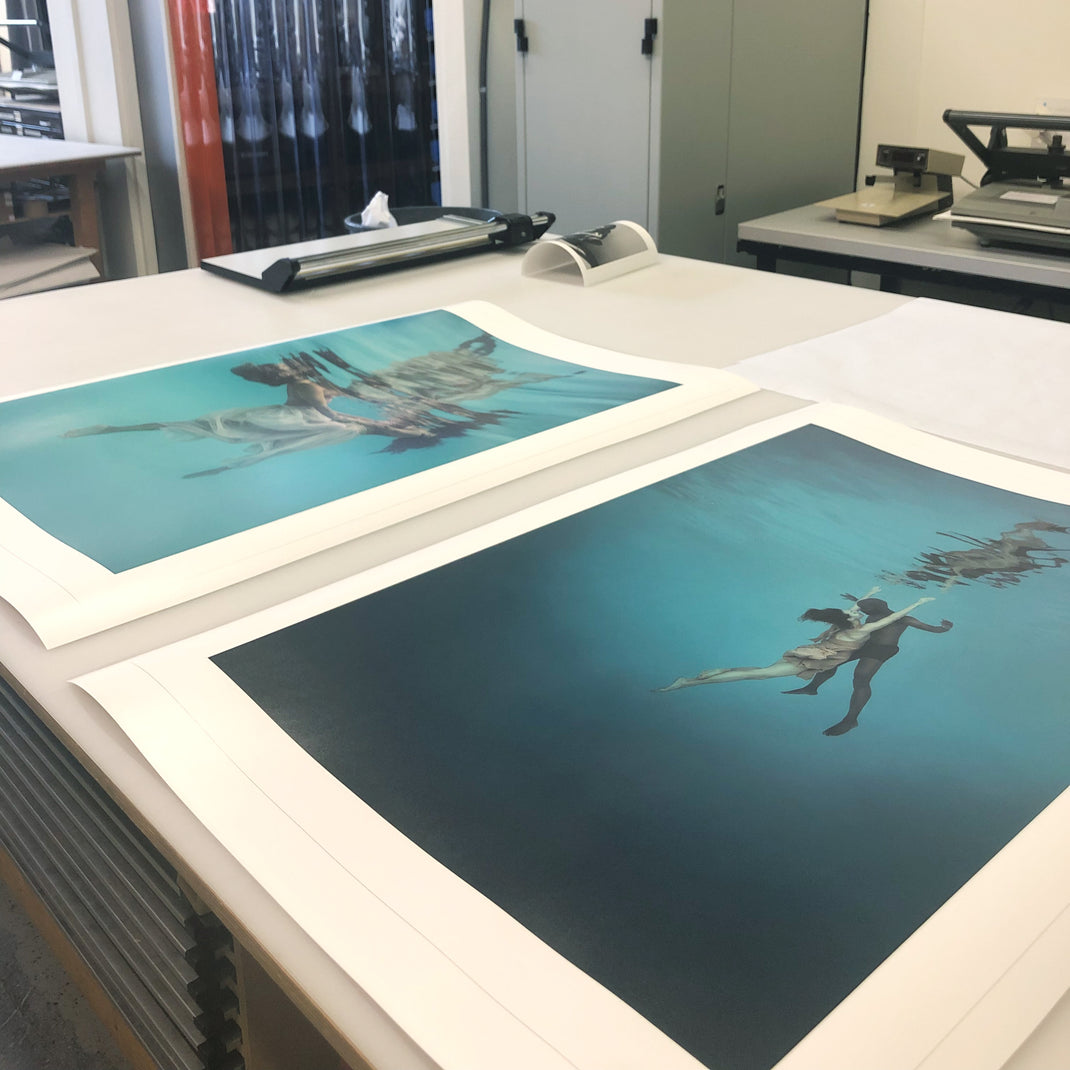 Mallory Morrison Photography